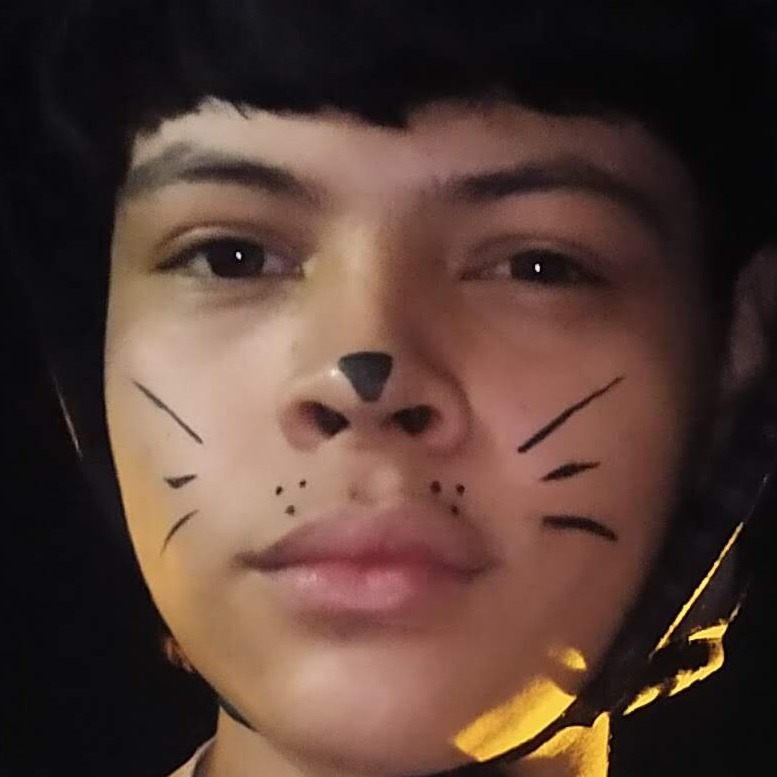 Lorenzo Sb Live Manyvids